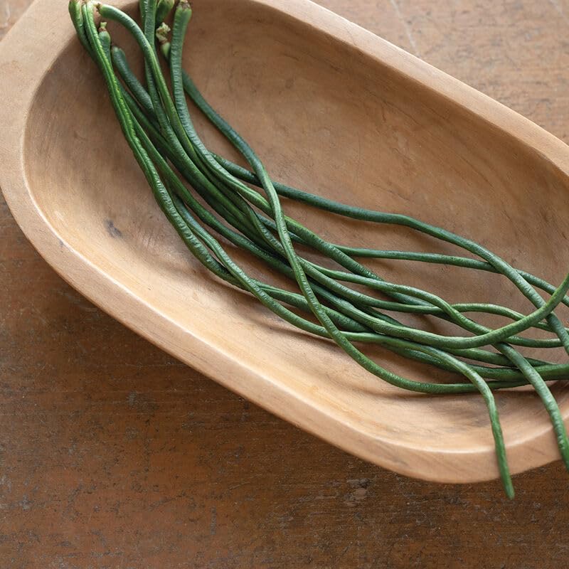 Python Yard Long Bean Seeds for Planting (20 Seeds) – CZGrain