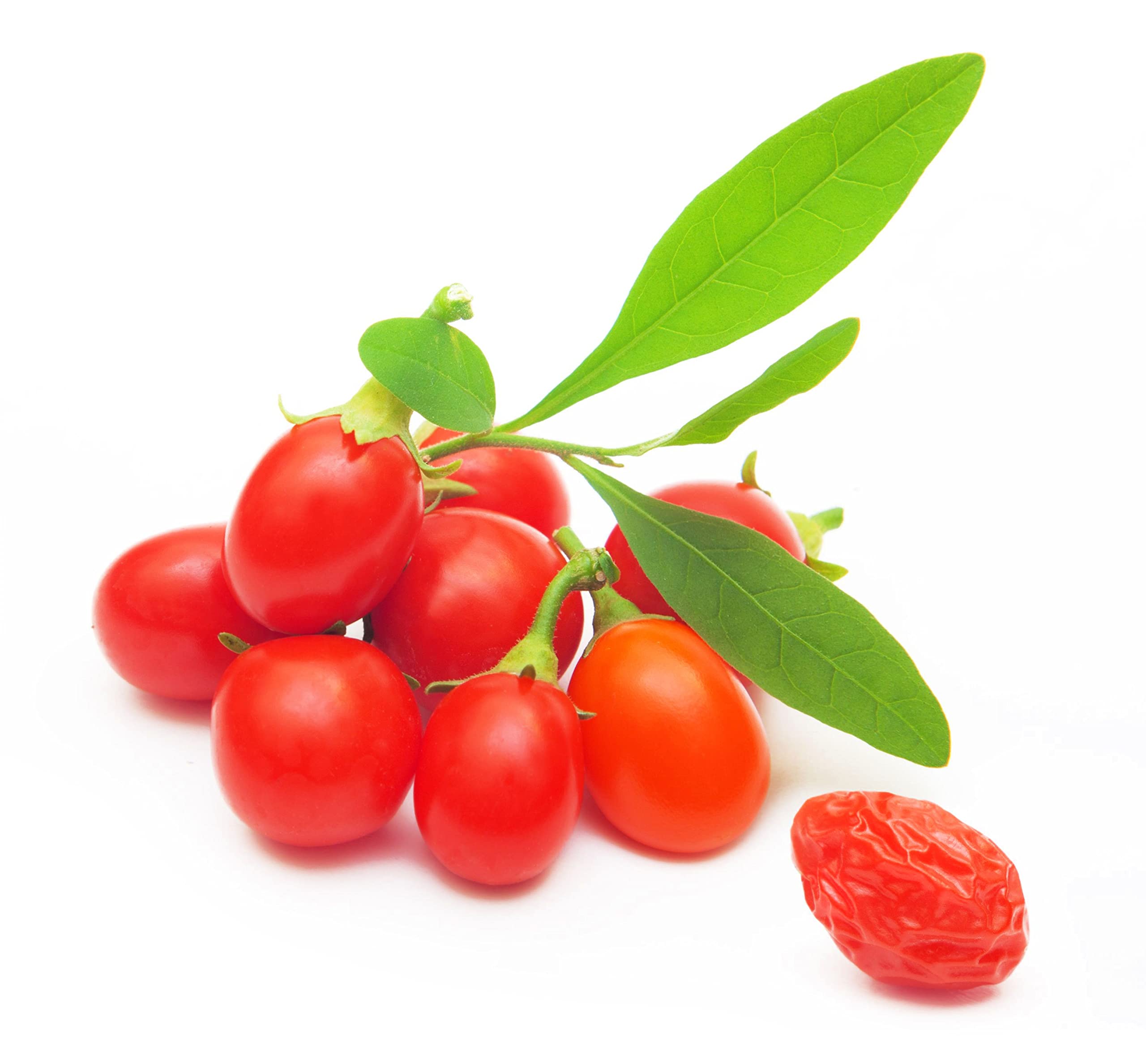 Goji Berry Seeds to Grow - 100+ Seeds - Grow an Exotic Fruit Bearing T ...