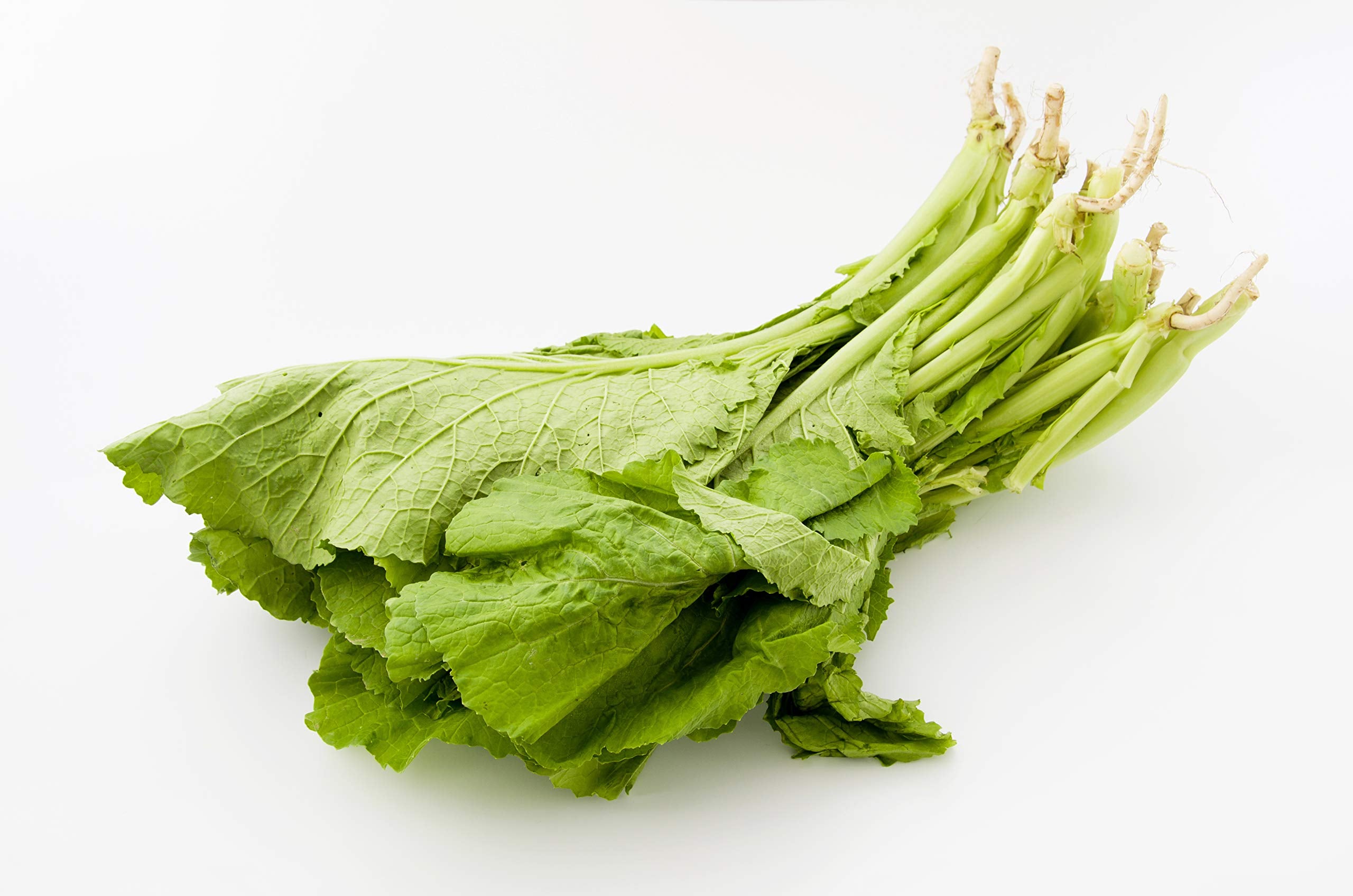 Florida Broadleaf Mustard Greens | 250+ Seeds to Grow | Made in USA, S ...